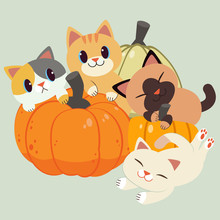 Thanksgiving Cat Poster Free Stock Photo - Public Domain Pictures