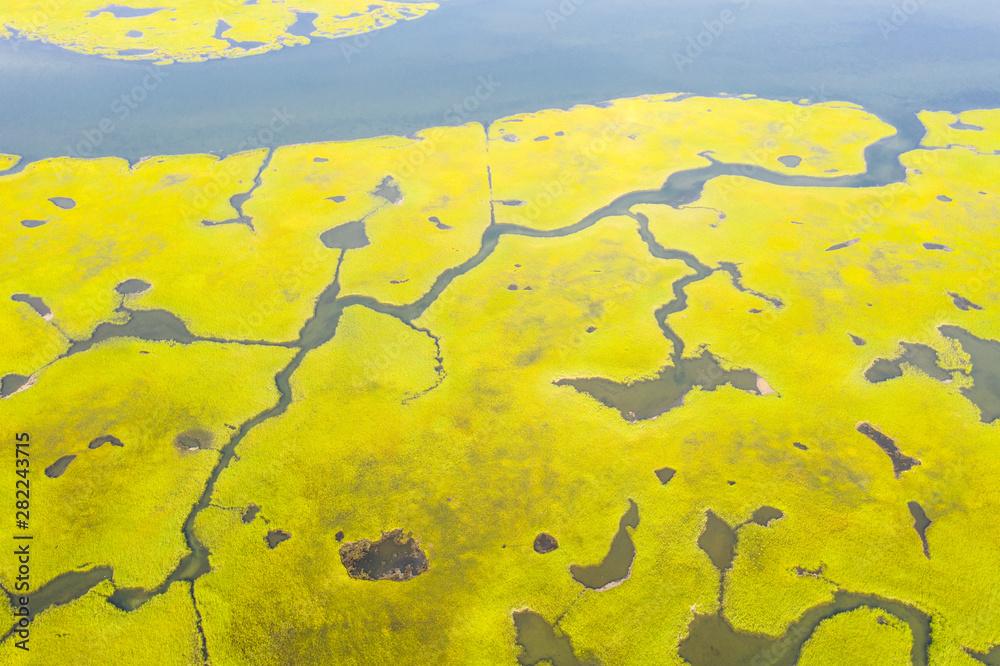 Foto de Stock Narrow channels run through a healthy salt marsh on Cape ...