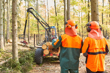 Forestry Workers Free Stock Photo - Public Domain Pictures