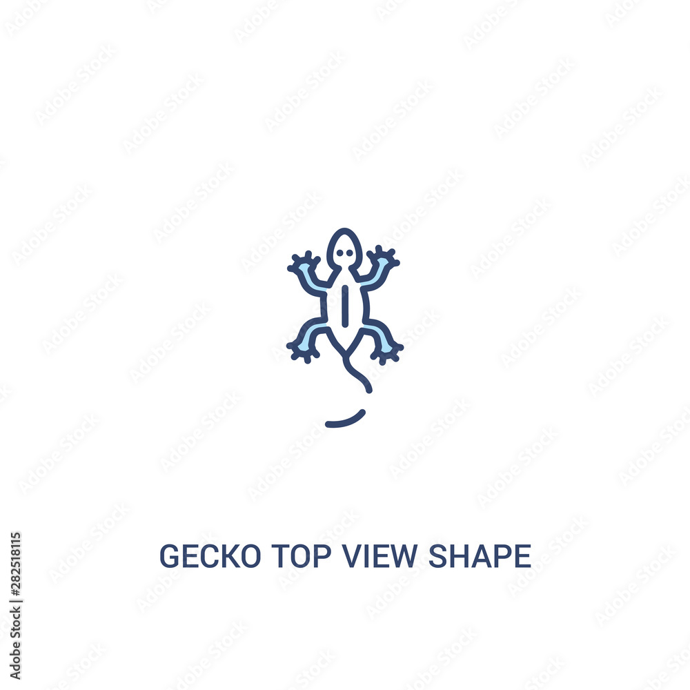 gecko top view shape concept 2 colored icon. simple line element ...