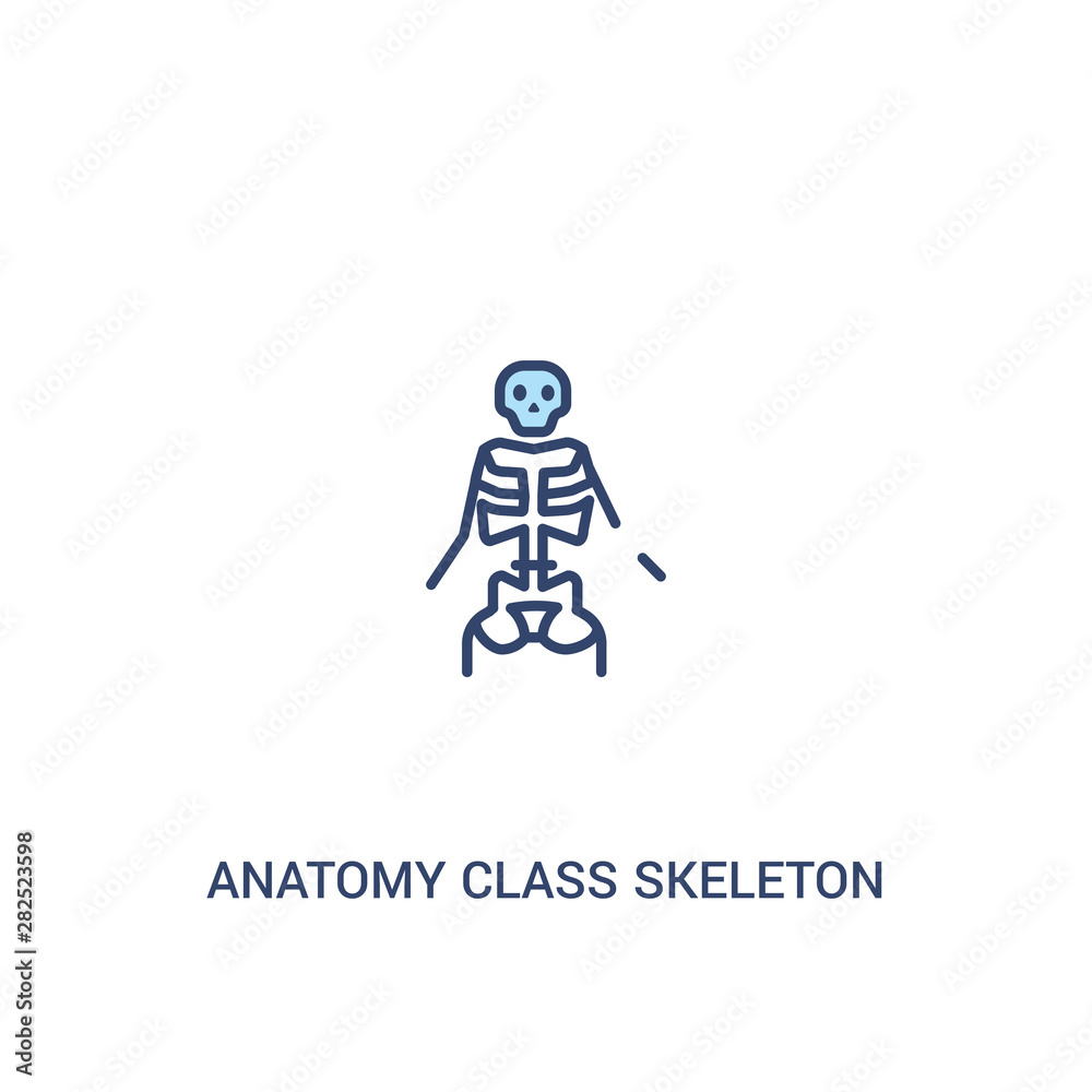 Anatomy Class Skeleton Concept 2 Colored Icon Simple Line Element Illustration Outline Blue