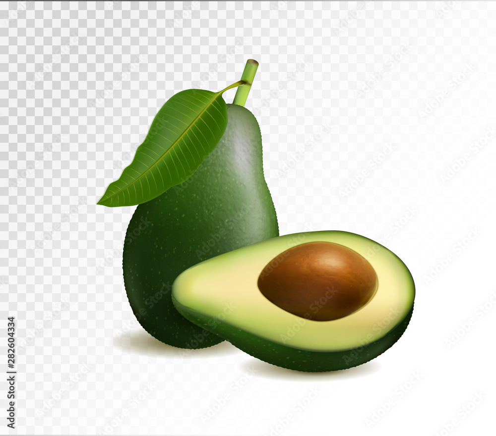 Vector realistic fresh fruit avocado isolated on transparent background ...