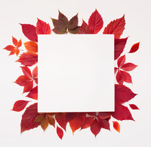 Autumn Square Poster Free Stock Photo - Public Domain Pictures