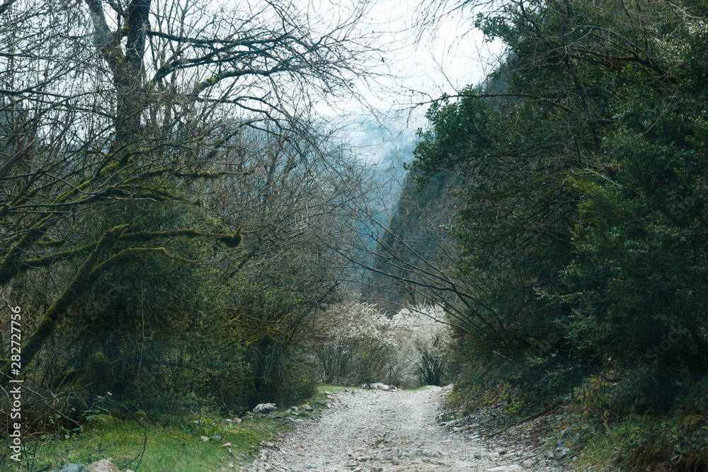 Off-road travel. Traveler discovers new unfamiliar places. Path through ...