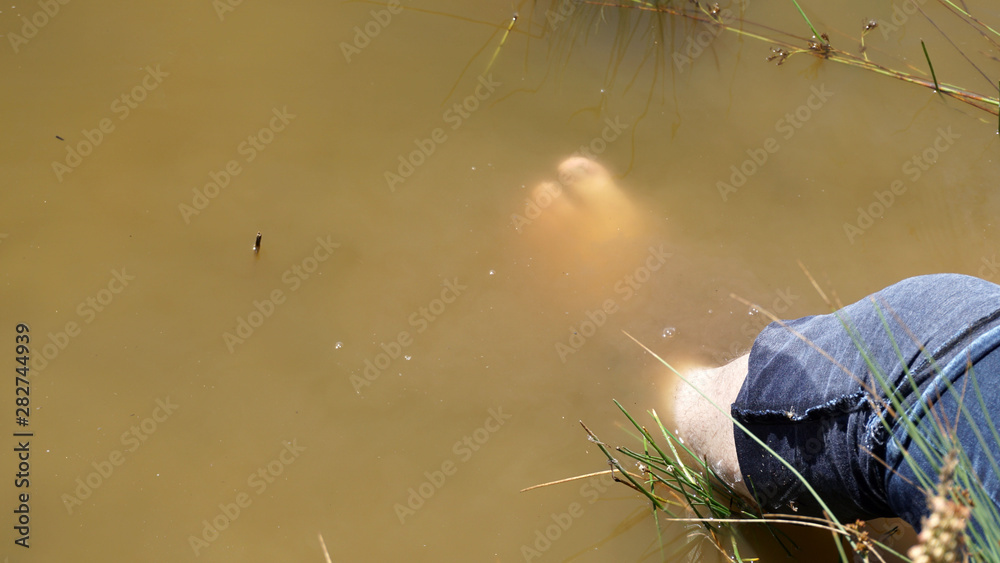 natural leech therapy, people doing leech therapy in the lake, Stock ...