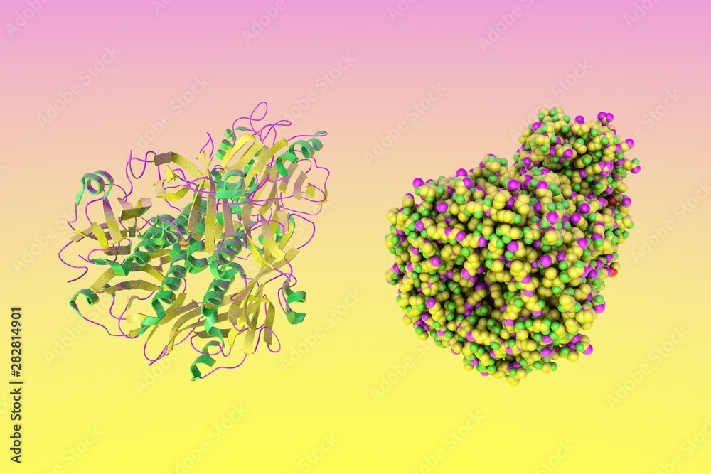 Molecular and crystal structure of typhoid toxin produced by bacterium ...