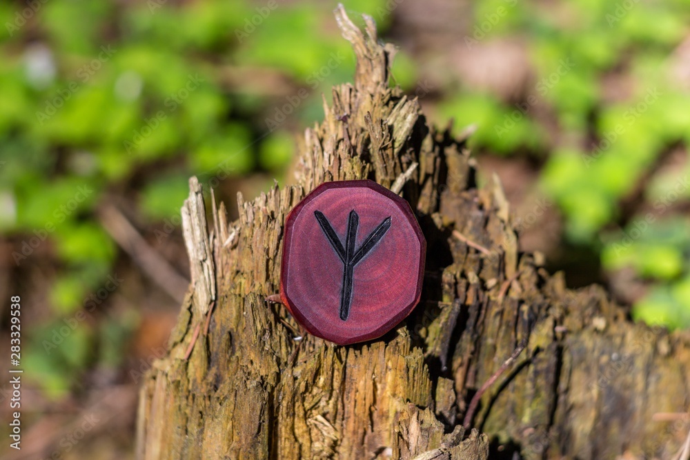 Foto de Stock Rune Algiz (Elhaz) carved from wood on an old stump ...