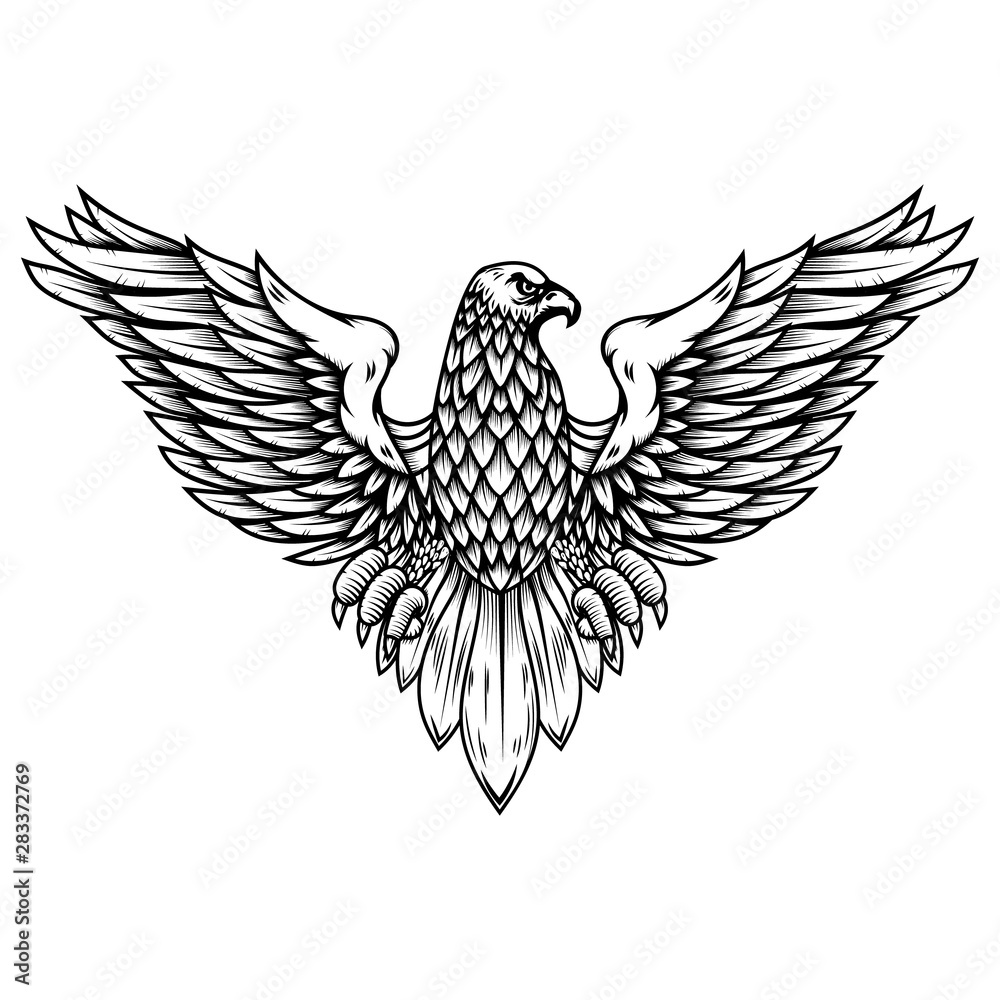 Eagle illustration in engraving style. Design element for logo, label ...