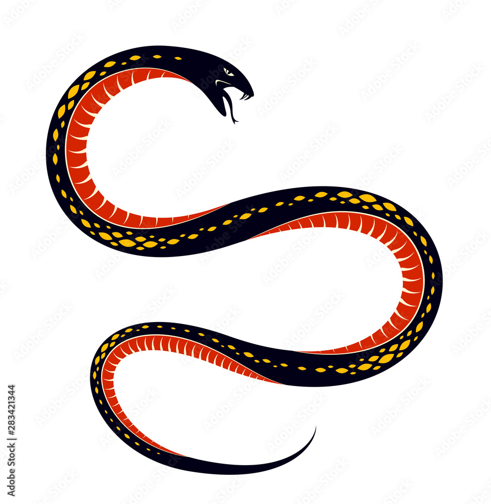 Venomous snake vintage tattoo, vector drawing of aggressive predator ...