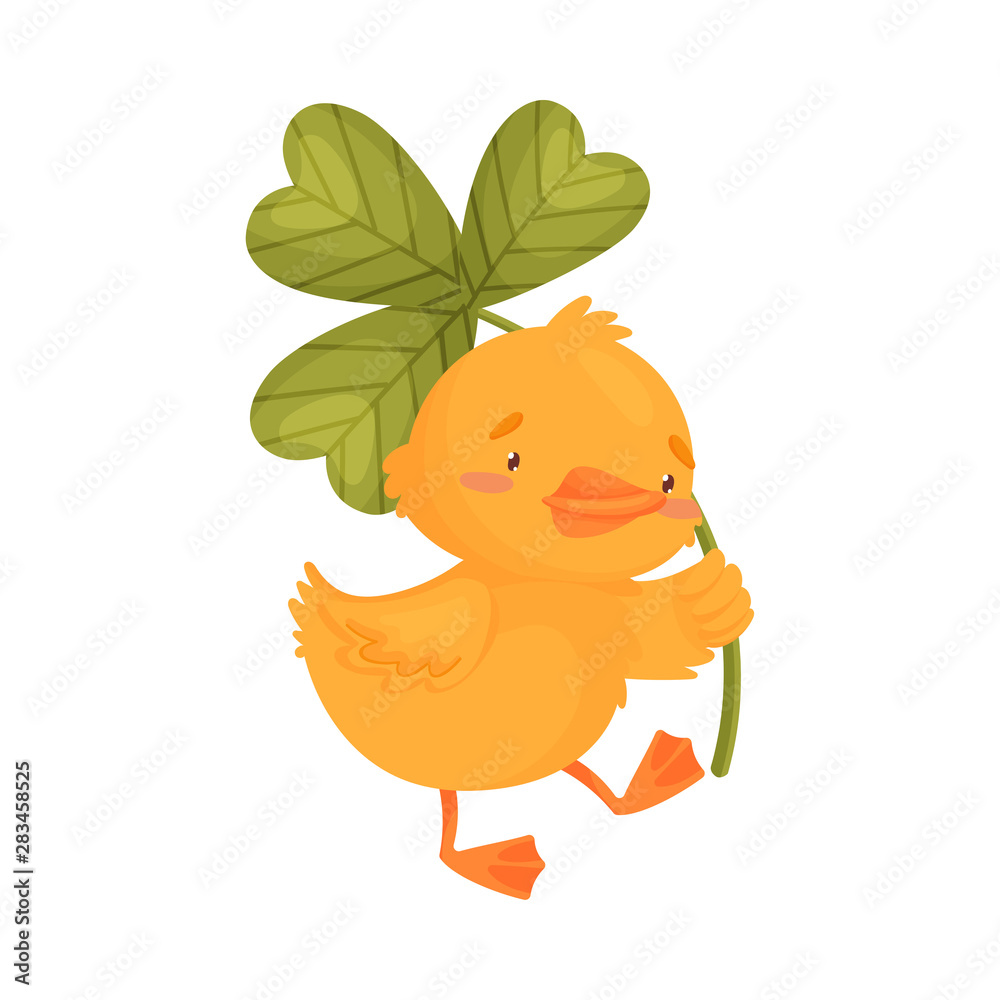 Cartoon duckling with clover. Vector illustration on white background ...
