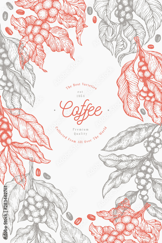 Coffee tree branch vector illustration. Vintage coffee background. Hand ...