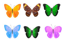 Six Butterflies Free Stock Photo - Public Domain Pictures