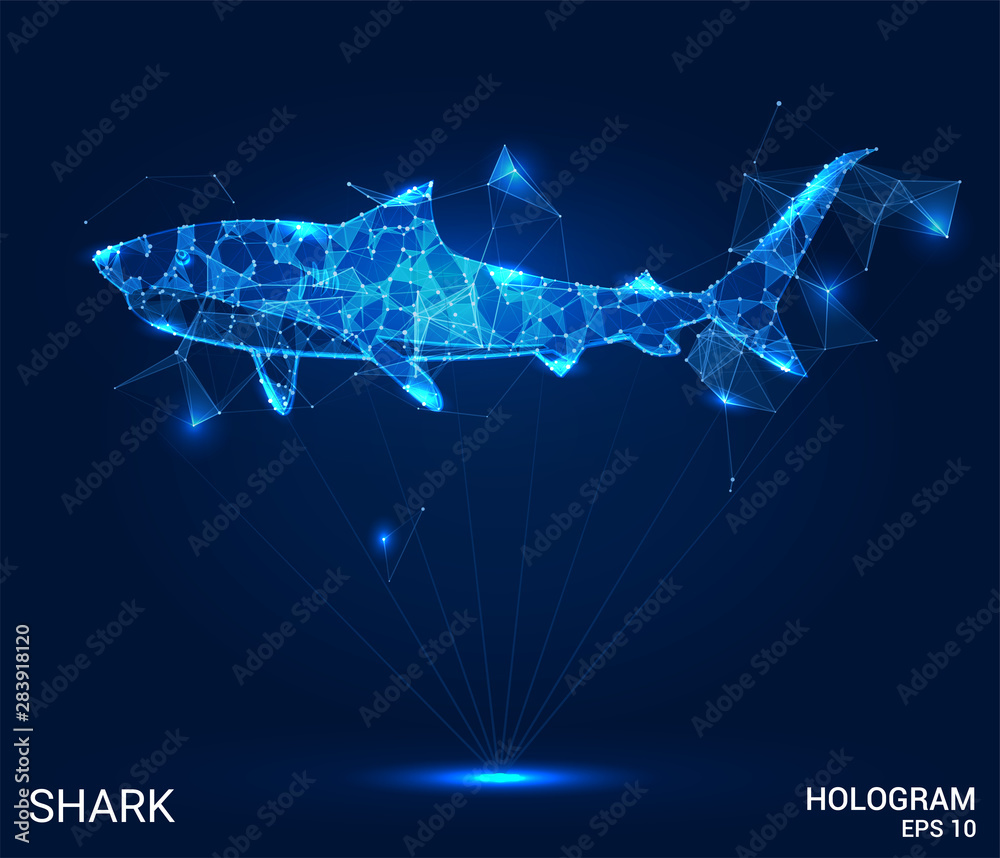 Hologram shark. Shark of polygons, triangles of points and lines. Shark ...