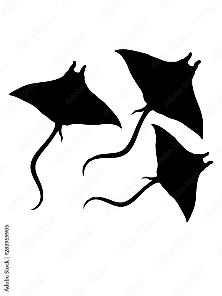 Stock-Illustration „3 stachelrochen schwimmen tauchen silhouette umriss ...