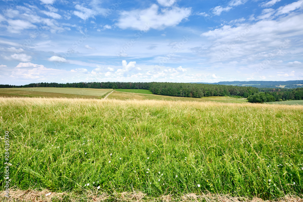 Beautiful german summer landscape in the Bavarian countryside with ...