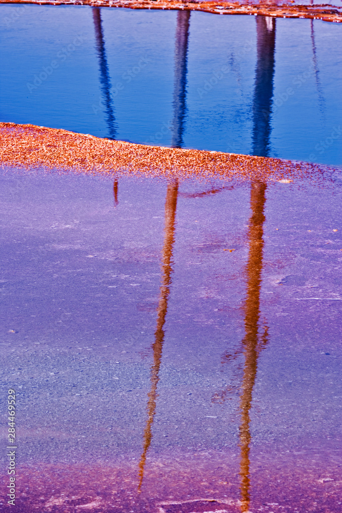 Ghost trees reflecting in bacterial mat around perimeter of Grand ...