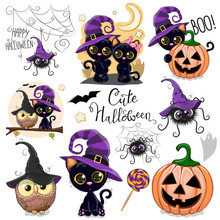 Halloween Black Cat Spider Free Stock Photo - Public Domain Pictures