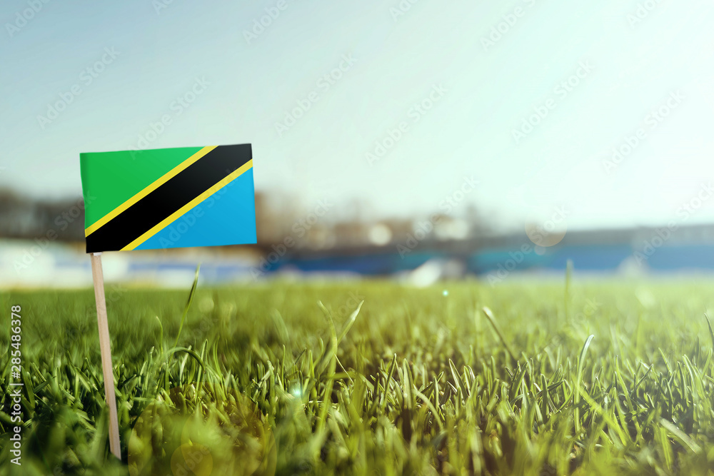 Miniature stick Tanzania flag on green grass, close up sunny field ...