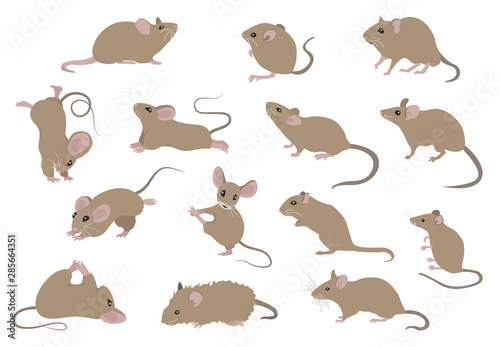 Different mice. Mouse yoga poses and exercises. Cute cartoon clipart ...