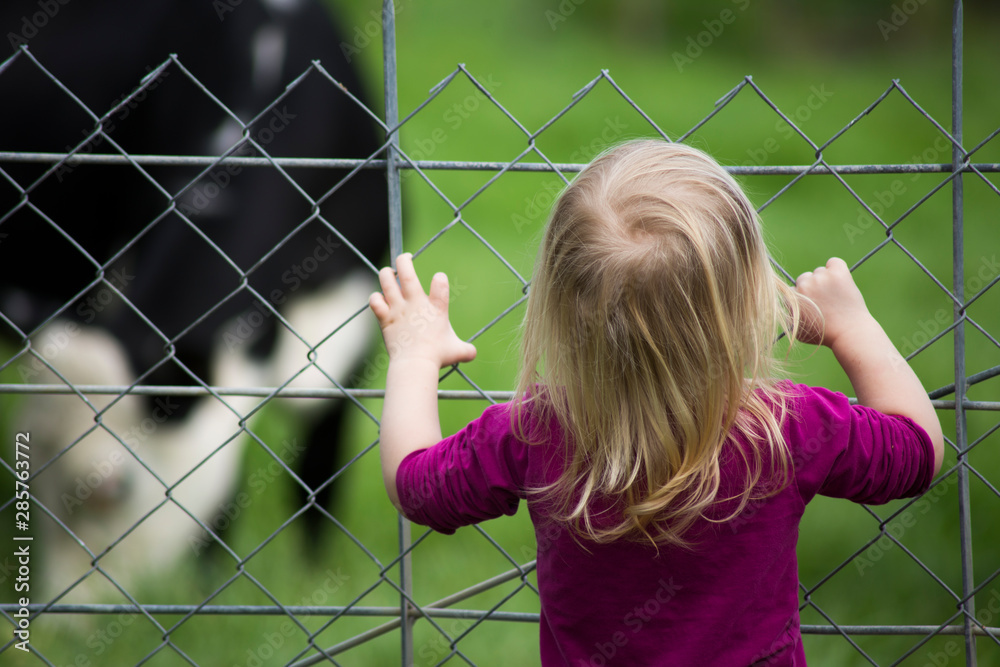 Country girl looking through a wire fence gate at a black and white ...