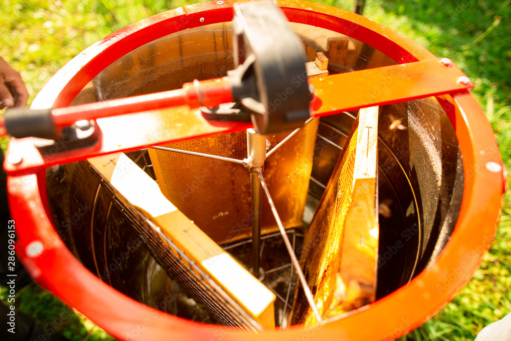 Honey extractor on the bee farm. Inside view. Three honeycombs are ...