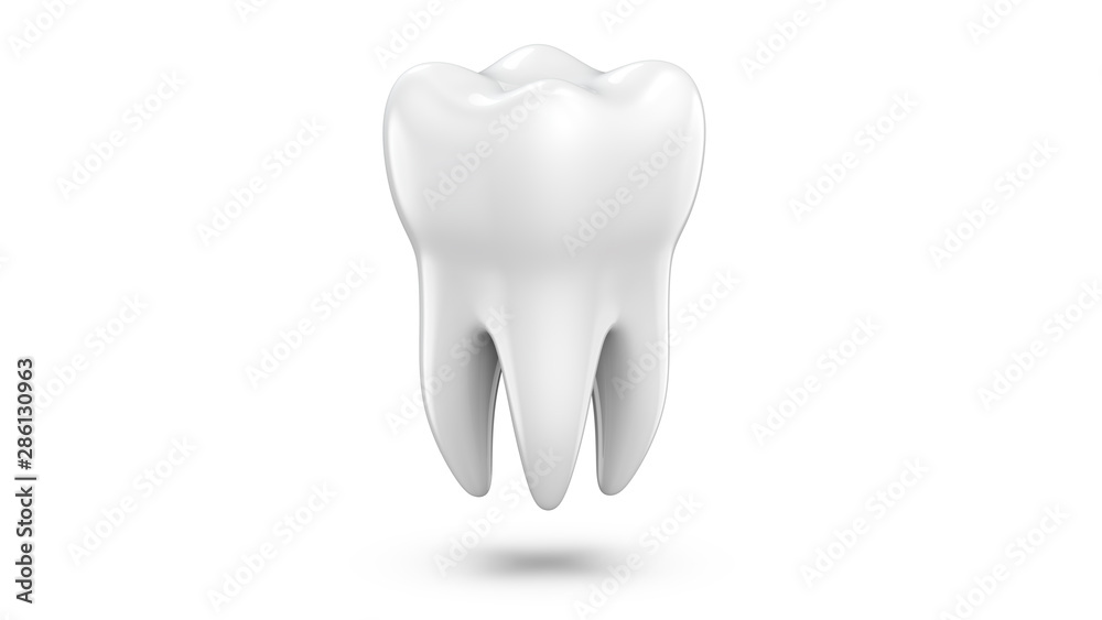 Dental 3d model of premolar tooth as a concept of dental examination ...