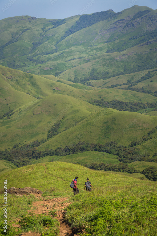 Trekking / Hiking at Kudremukh or Kudremukha national park in ...