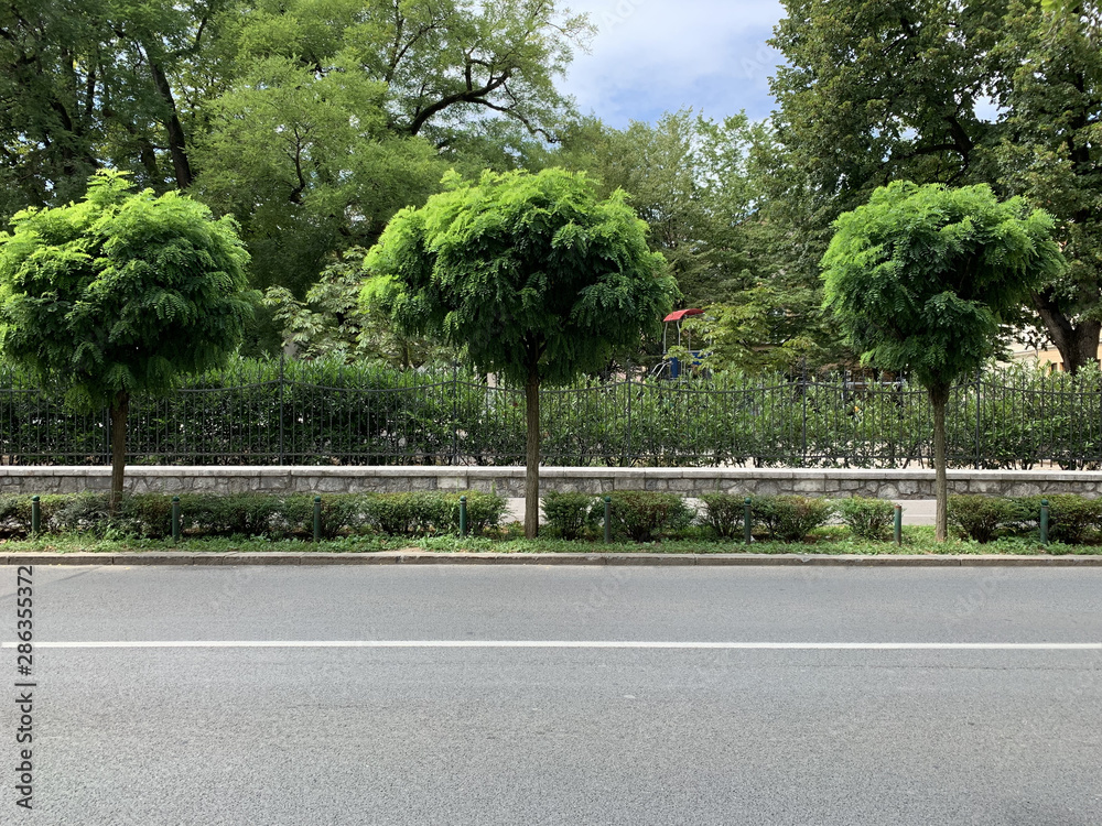 Neighborhood street road urban environment. Street road with sidewalk ...
