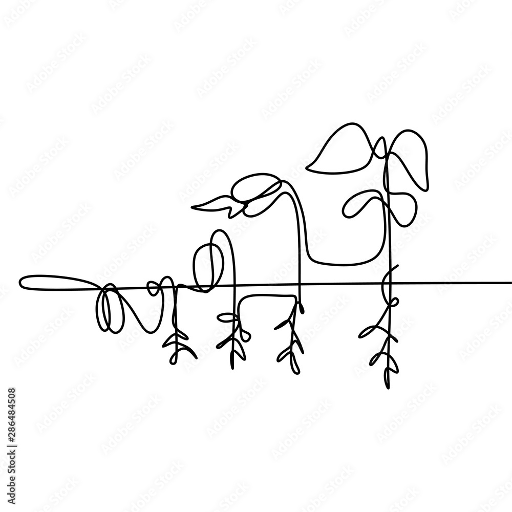 Phase of plant growing continuous one line drawing minimalist vector ...