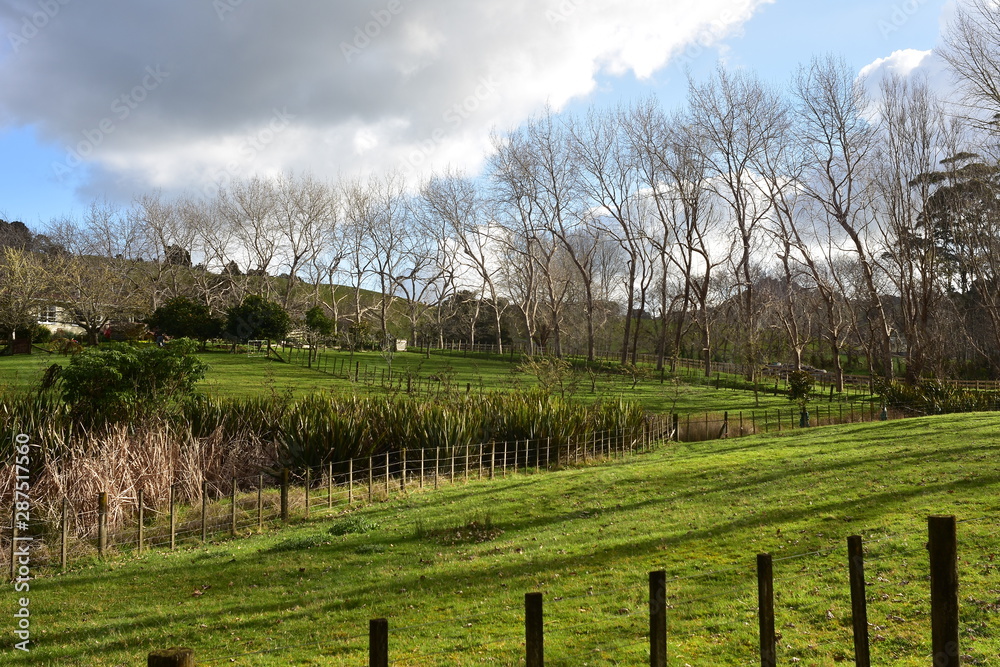 Countryside lifestyle block with trees and lawns divided by livestock ...