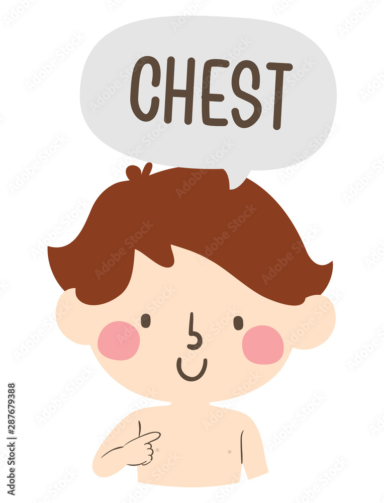 Kid Boy Naming Body Parts Chest Illustration Stock Vector | Adobe Stock