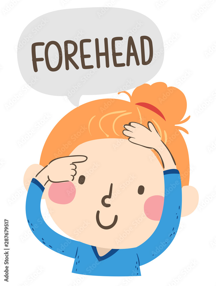 Kid Girl Naming Body Parts Forehead Illustration Stock Vector | Adobe Stock