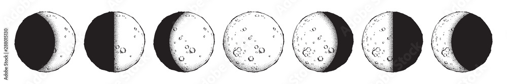 Antique style hand drawn line art and dot work moon phases isolated ...