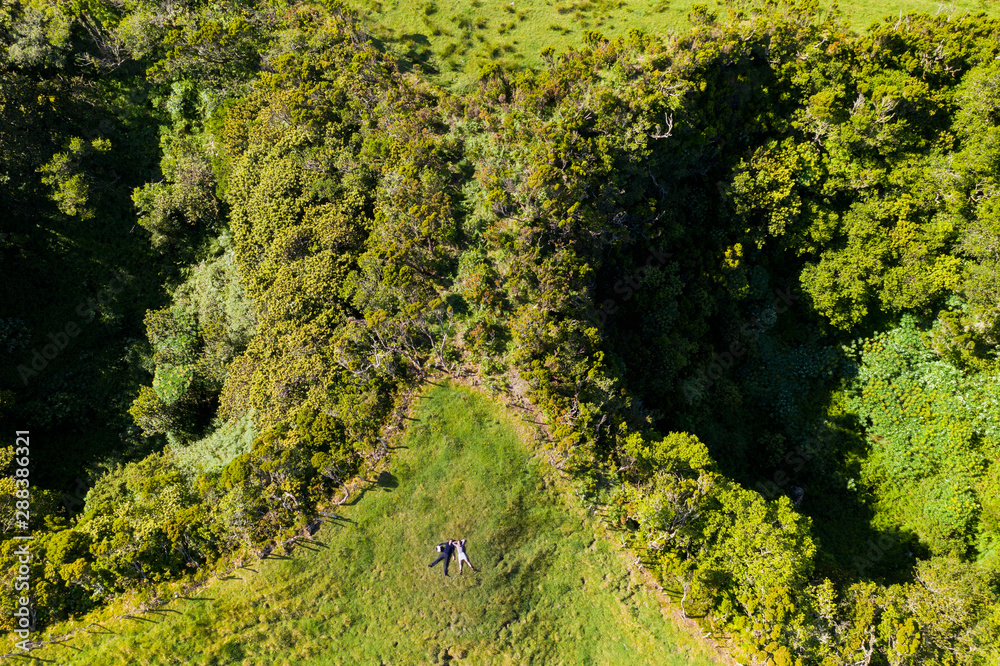 Aerial image of typical green volcanic caldera crater landscape with ...
