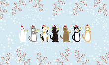 Christmas Music Cats In The Snow Free Stock Photo - Public Domain Pictures
