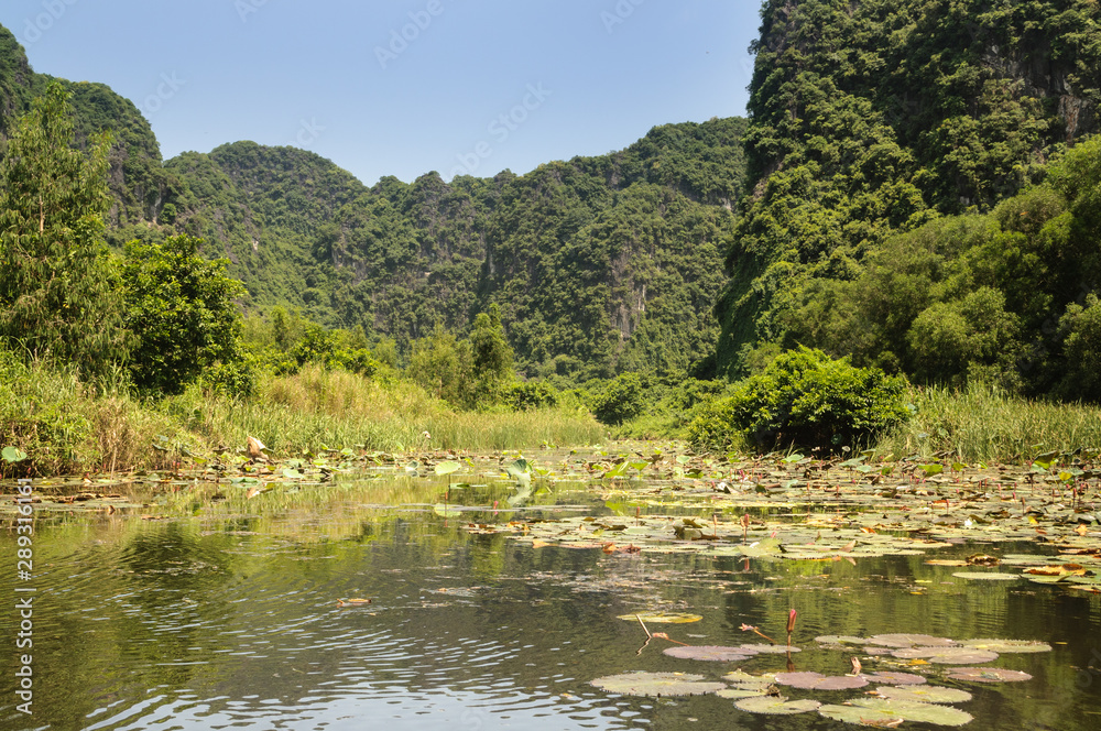 Tour en un bote de remos llamado sampán por el rio Ngo Dong en Tam Coc ...