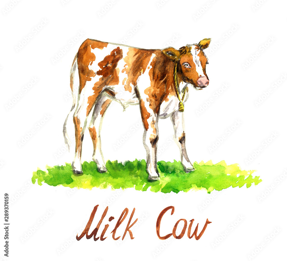 Red bull-calf cow standing on green meadow, side view hand painted ...