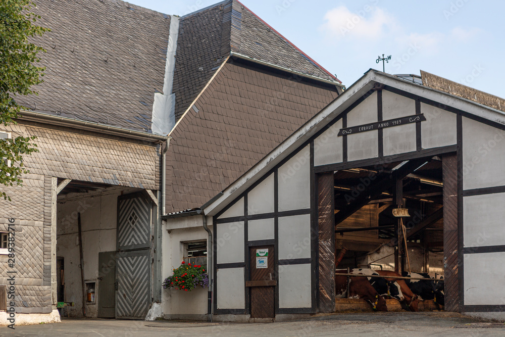 Old farmhouse and barn in the typical half-timbered Vakwerk ...