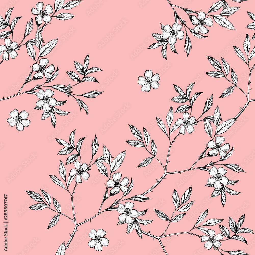 Botanical drawing flowers cosmos pattern. Seamless flower pattern ...