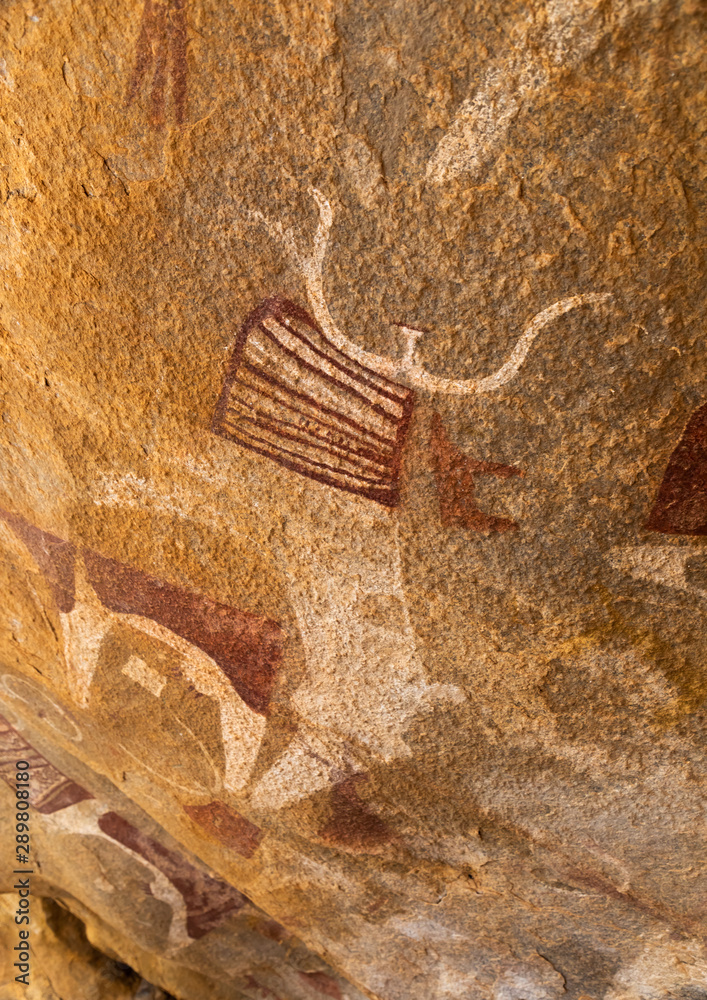 Cave paintings and petroglyphs depicting cows copulating, Woqooyi ...