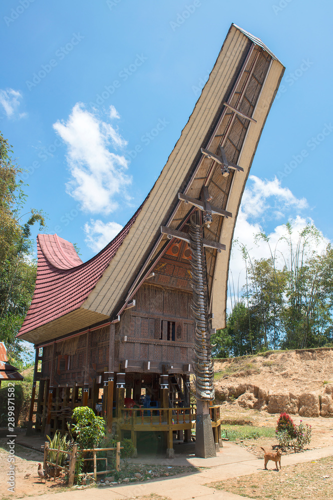 Traditional Alang rice barn, Rantepao, Tana Toraja, South Sulawesi ...