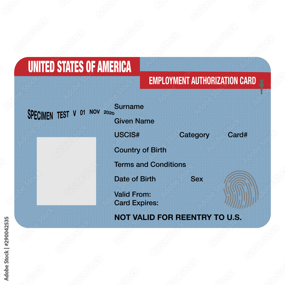 Employment authorization document or EAD card mockup. known popularly ...