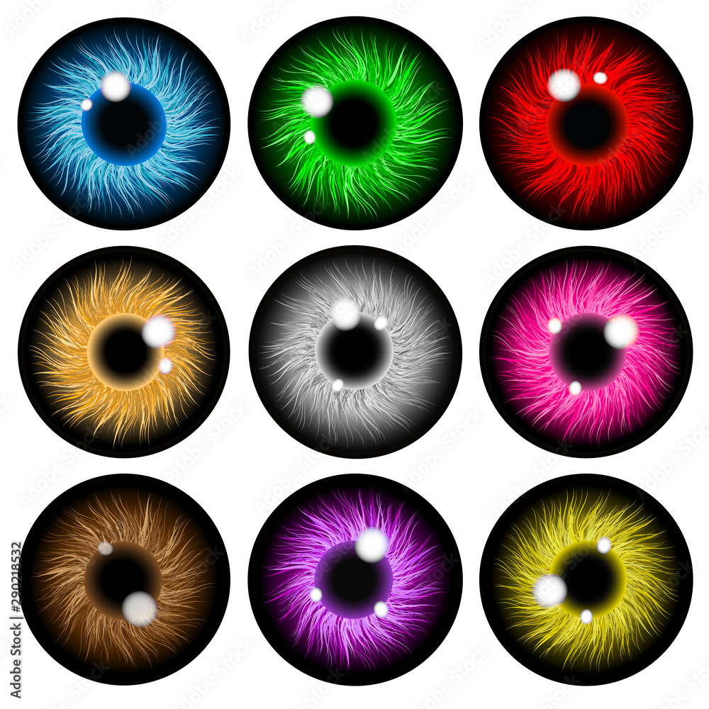 Eyes Color Set illustration Contact Lens. isolated on transparent ...