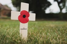 Poppy Cross Free Stock Photo - Public Domain Pictures