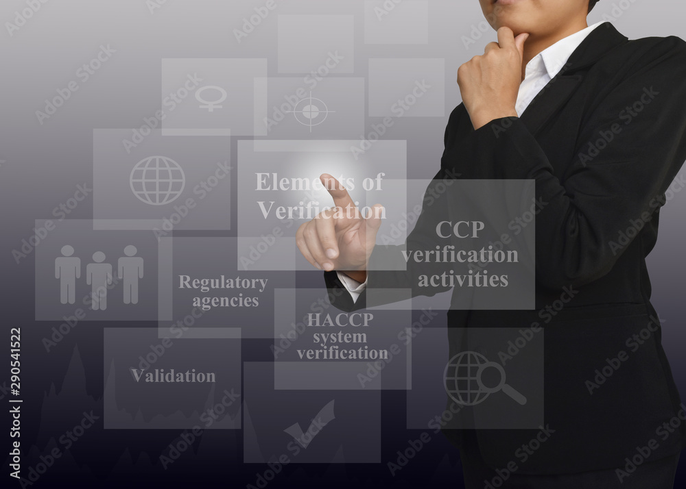 Businesswoman with presentation element of Elements of Verification for ...