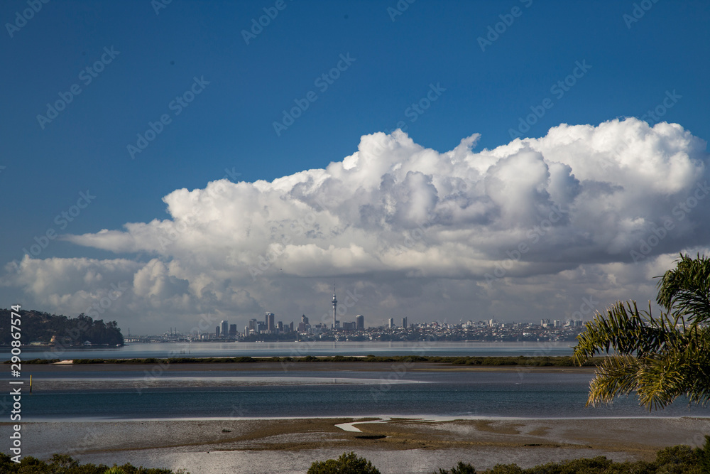 Auckland city scape from West Harbour. Looking out to sky tower and ...