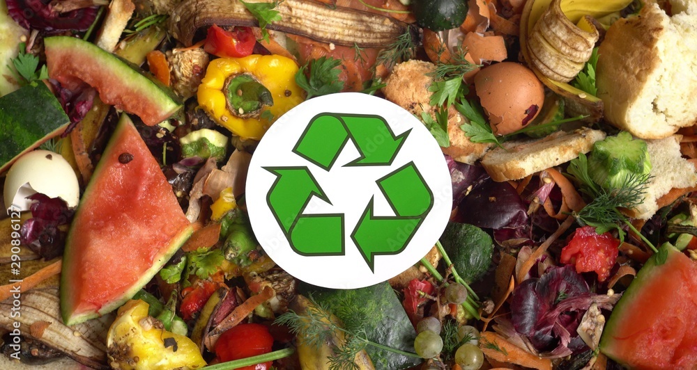 Compost and organic waste recycling. Composting is better alternative ...