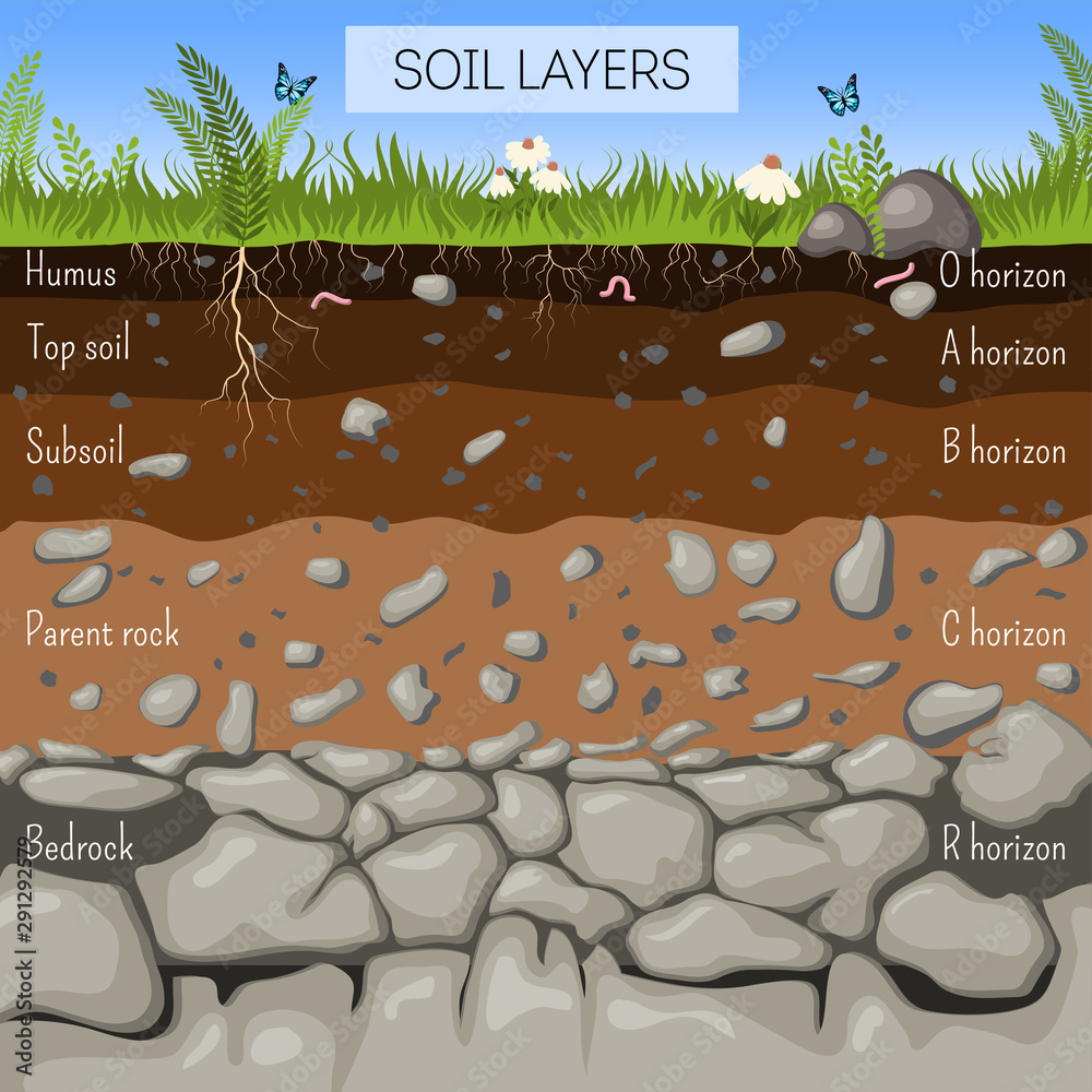 Importance of soil horizons