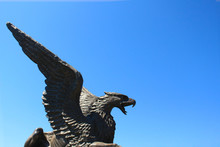 Gryphon Hippogriff Fantasy Creature Free Stock Photo - Public Domain ...