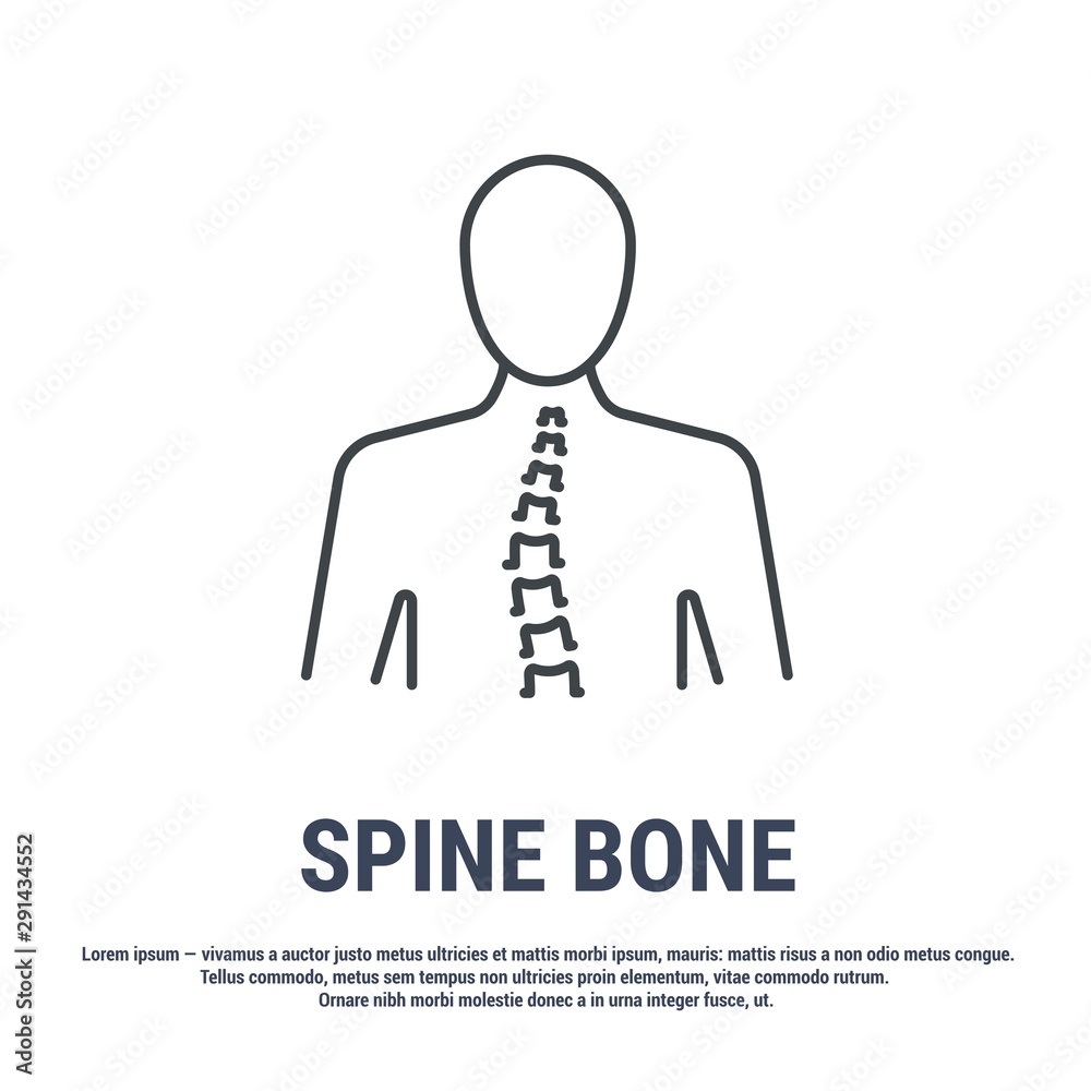 Vector icon. Line design. Spine bones and structure. Medicine and ...